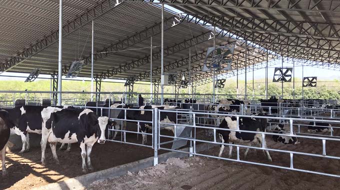 Inauguraron Unidad de investigación en la Eemac – Diario El Telégrafo