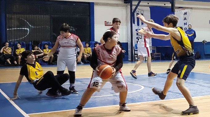 El básquetbol local definió el período de pases – Diario El Telégrafo