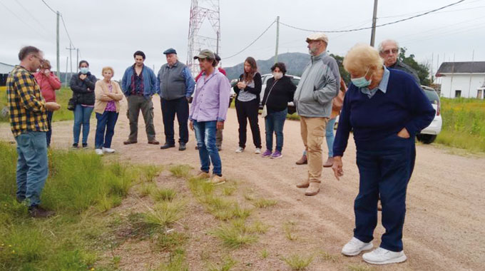 Alerta por avance del Capín Annoni en el este – Diario El Telégrafo