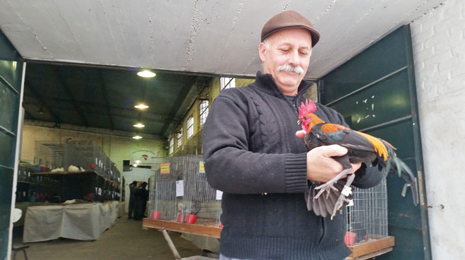 Víctor Manfredi será el jurado en exposiciones de Argentina y Brasil ...
