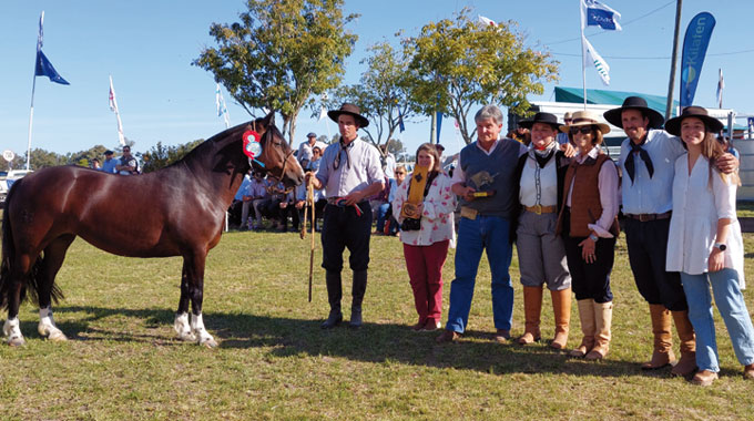 Criollos de “Santa María” de Parietti prevalecieron en pista de Expo ...