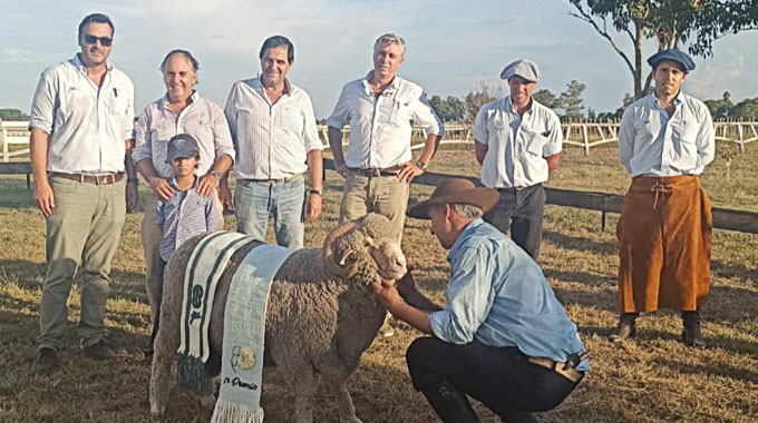 De “La Magdalena” es el mejor carnero y de “Los Arrayanes” el mejor ...