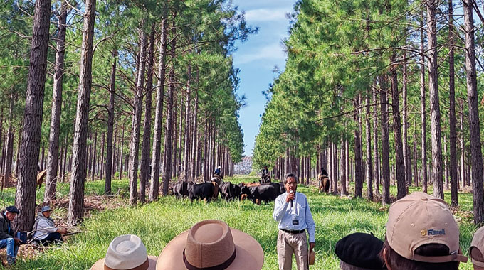 Estancia El Bagual en Formosa, entre el Brangus, una hermosa reserva ...