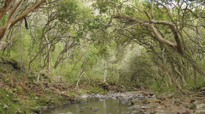 Proyecto abre inédita pugna entre dos ministros colorados por gestión ...