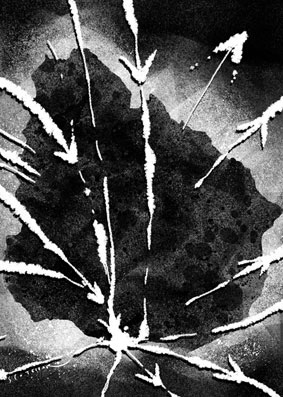 Uruguay En La Ruta De La Cocaína Diario El Telégrafo