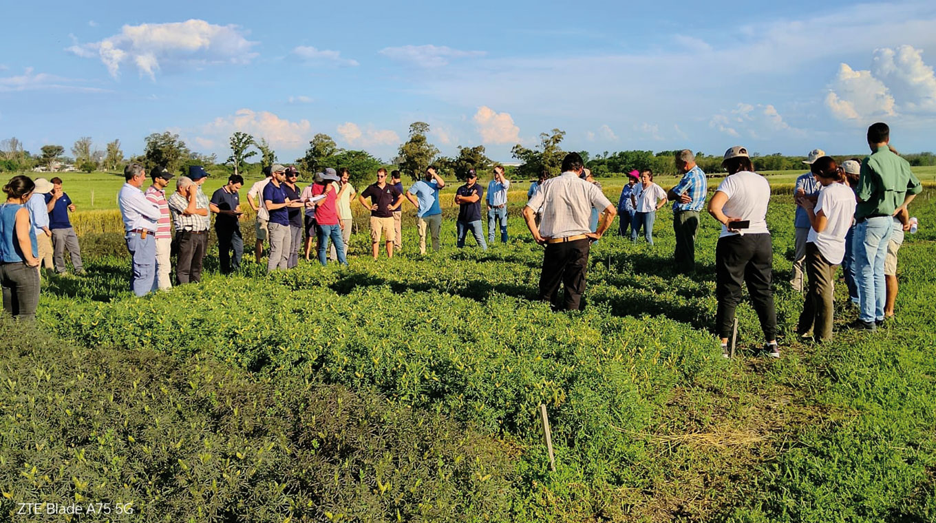 Jornada sobre cultivos de invierno en Eemac permitió interesante ...