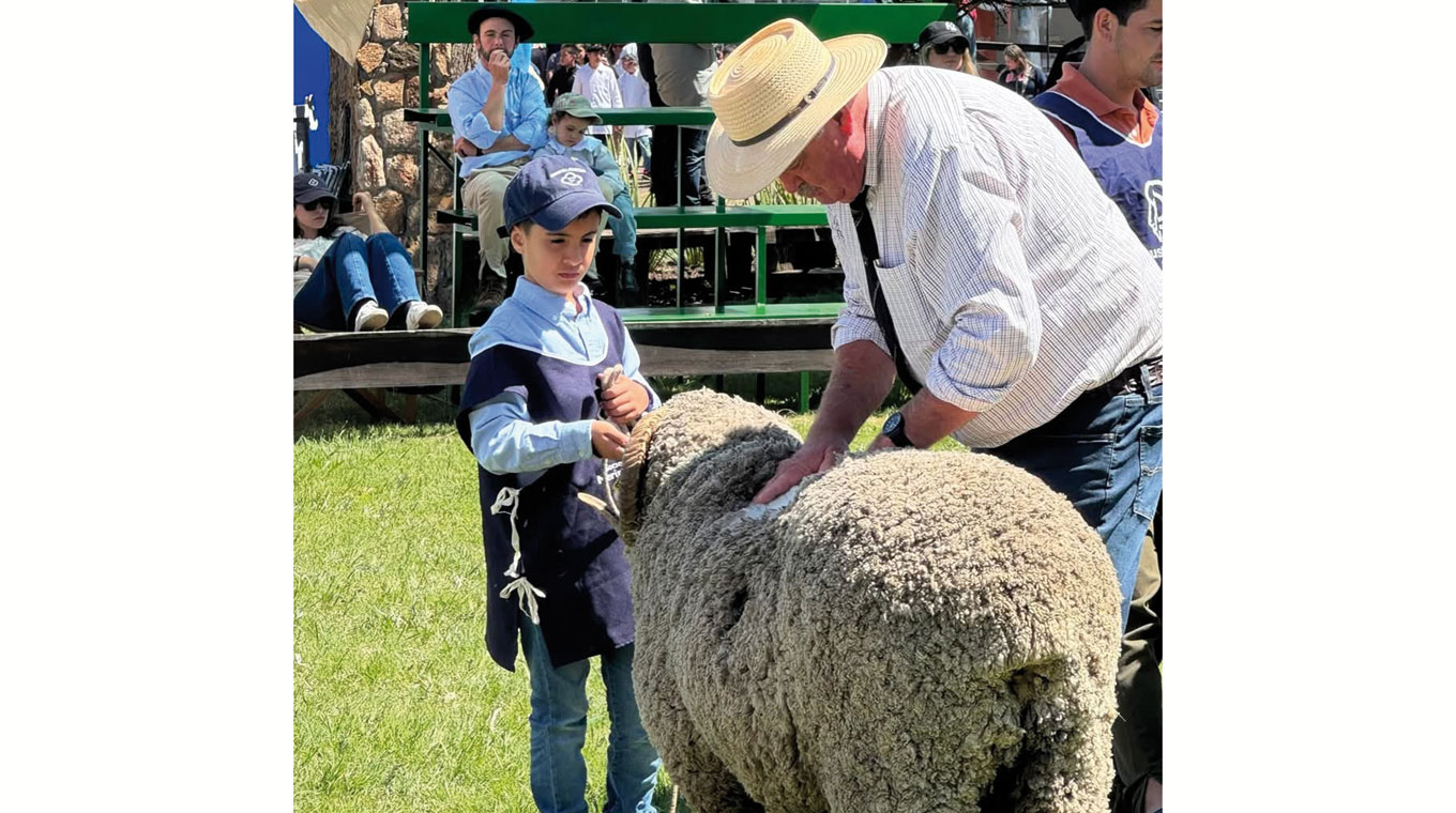 En Salto eligieron los mejores vellones – Diario El Telégrafo