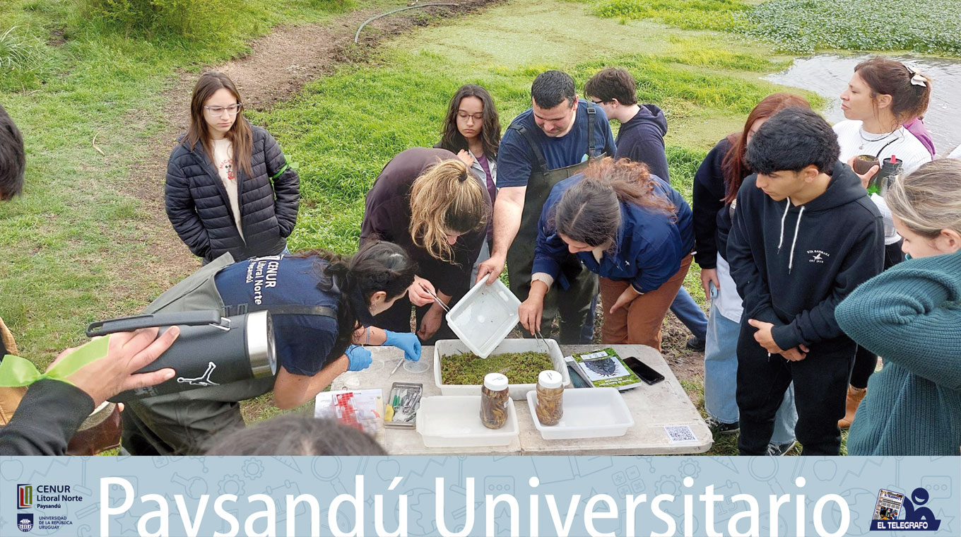 Más de 300 estudiantes recorrieron la Eemac en Jornada de puertas ...