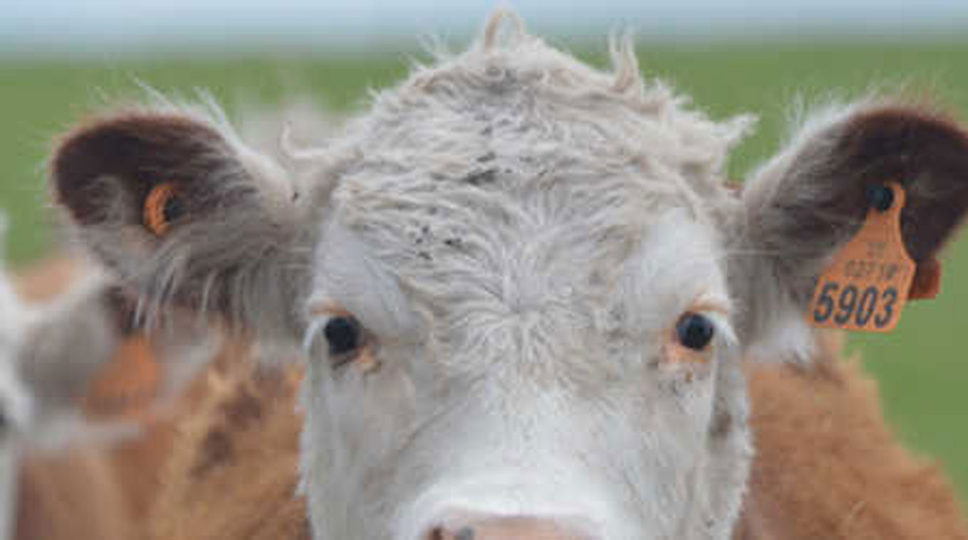 Comunicado del SNIG ante consultas – Diario El Telégrafo