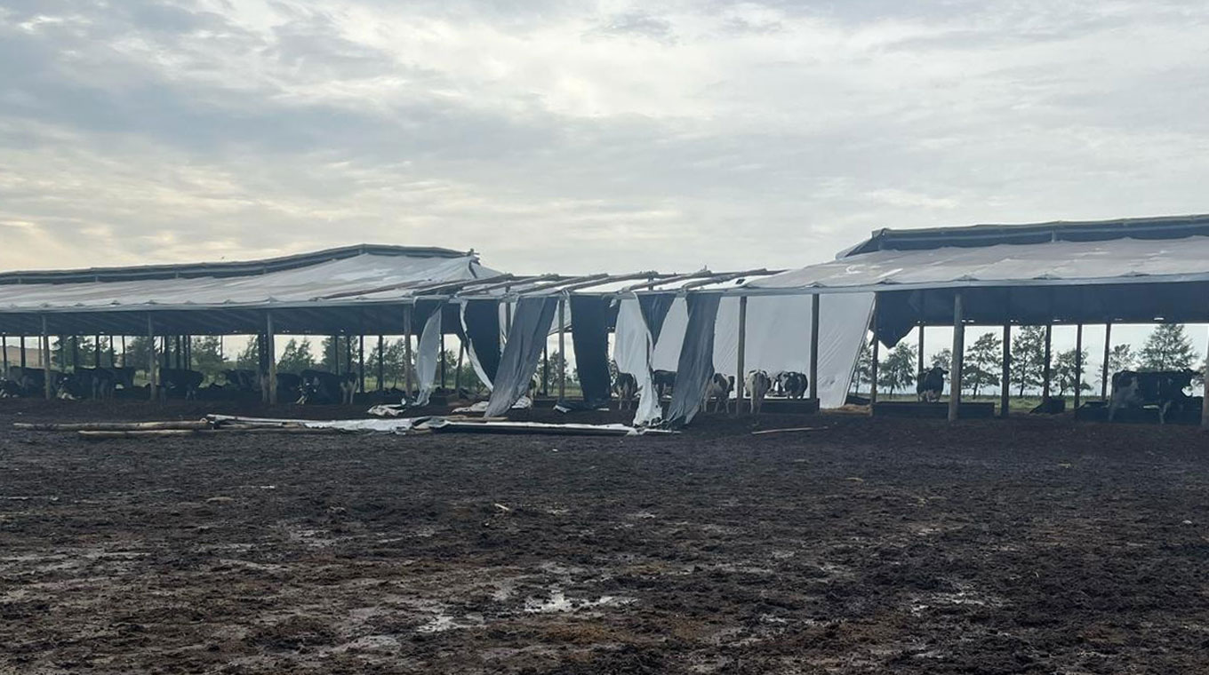 Miles de hectáreas fueron afectadas por el temporal – Diario El Telégrafo