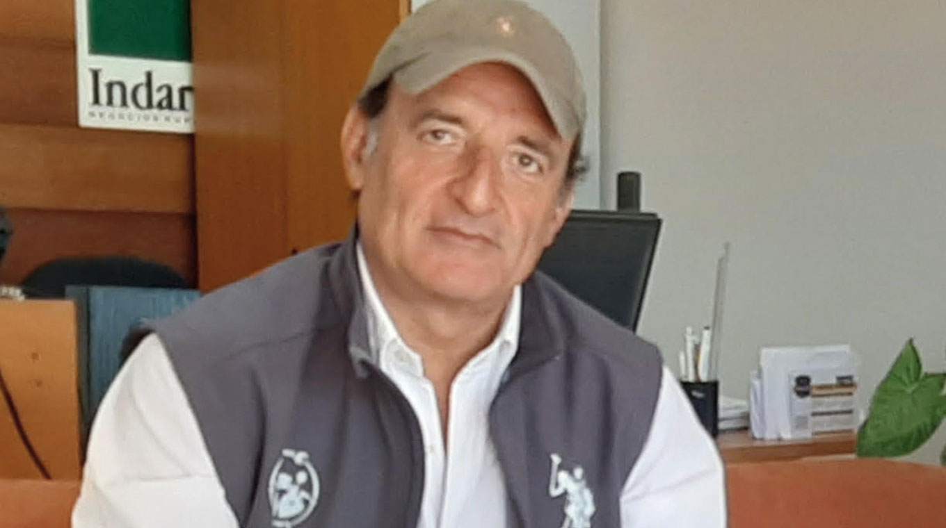 Indarte rematará muy destacada oferta en Plaza Rural entre miércoles y ...