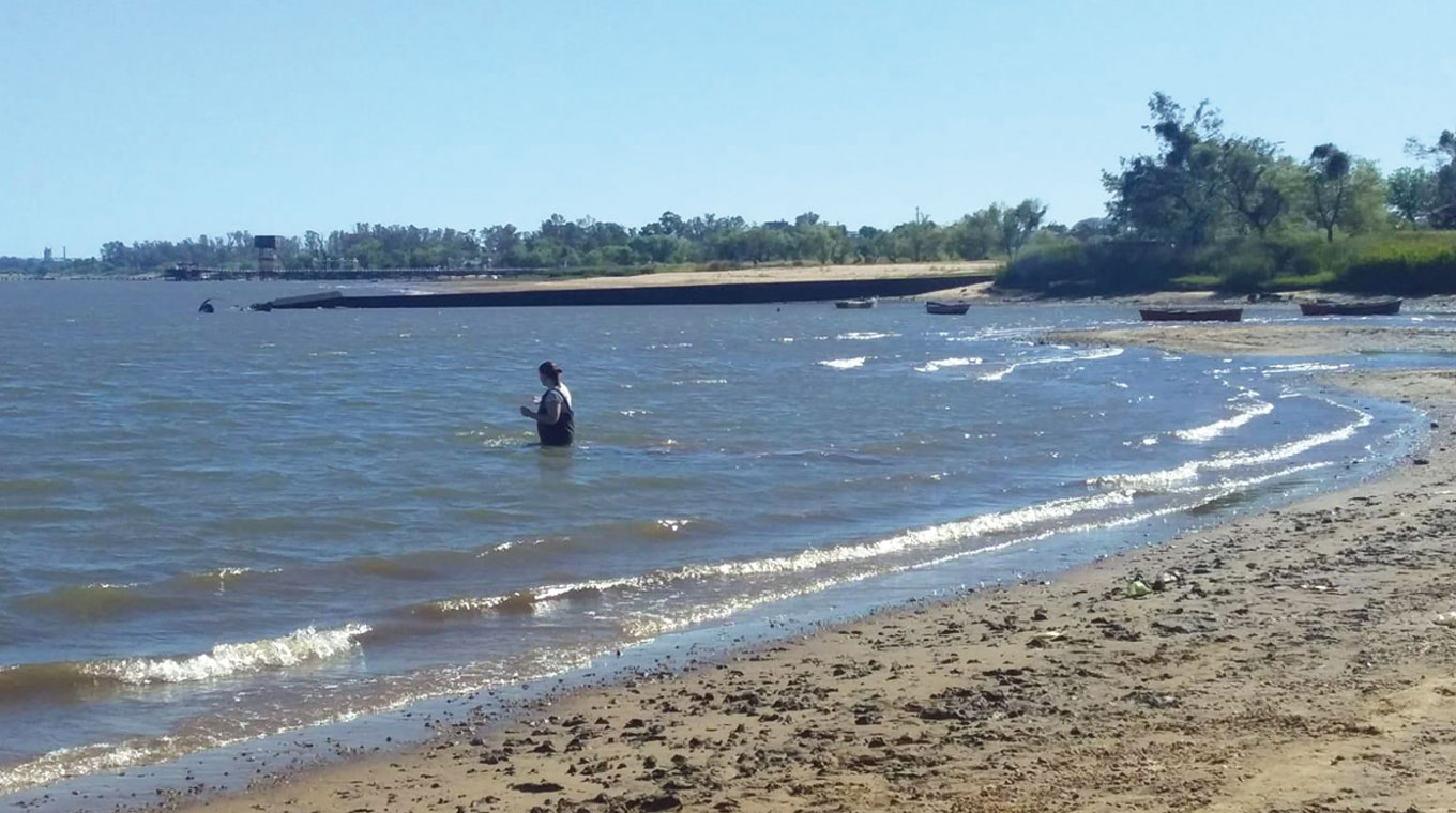 Investigan playas de Soriano, Colonia y Río Negro; no hay alertas en ...