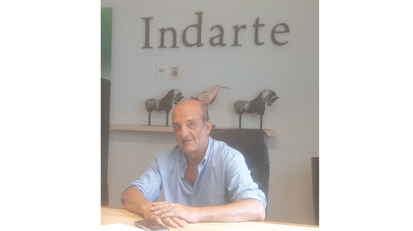 Indarte con muy destacada oferta en los remates de Plaza Rural en Agro ...